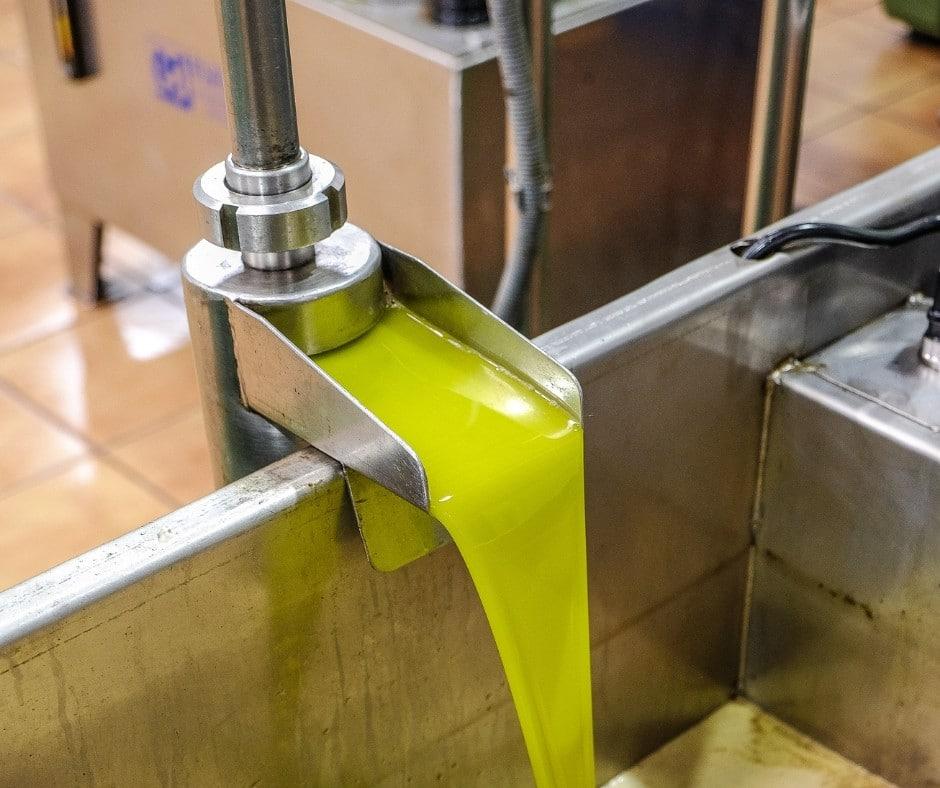 Aceite Oliva Virgen Extra Sin Filtrar (Garrafa 5L) | Extracción en Frío, Sabor Intenso de Pueblo ...