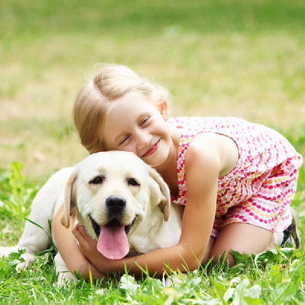 Star Pets Product Workshop | Miravia