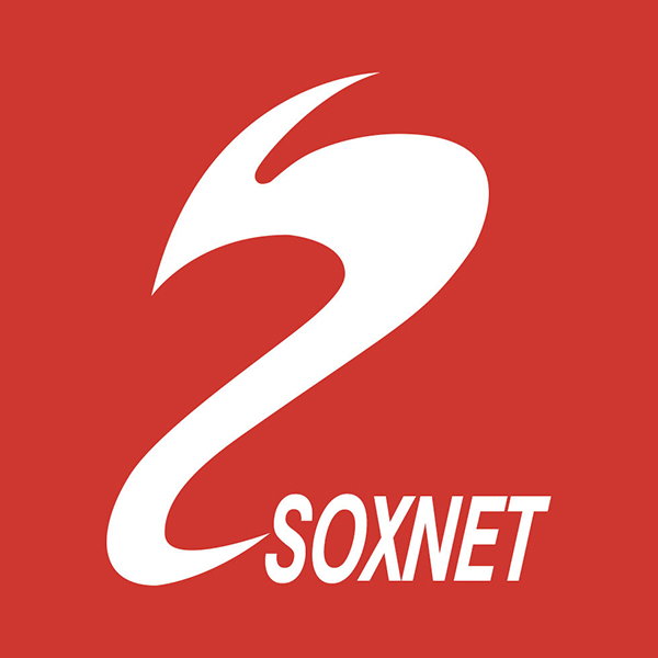 Soxnet Socks | Miravia